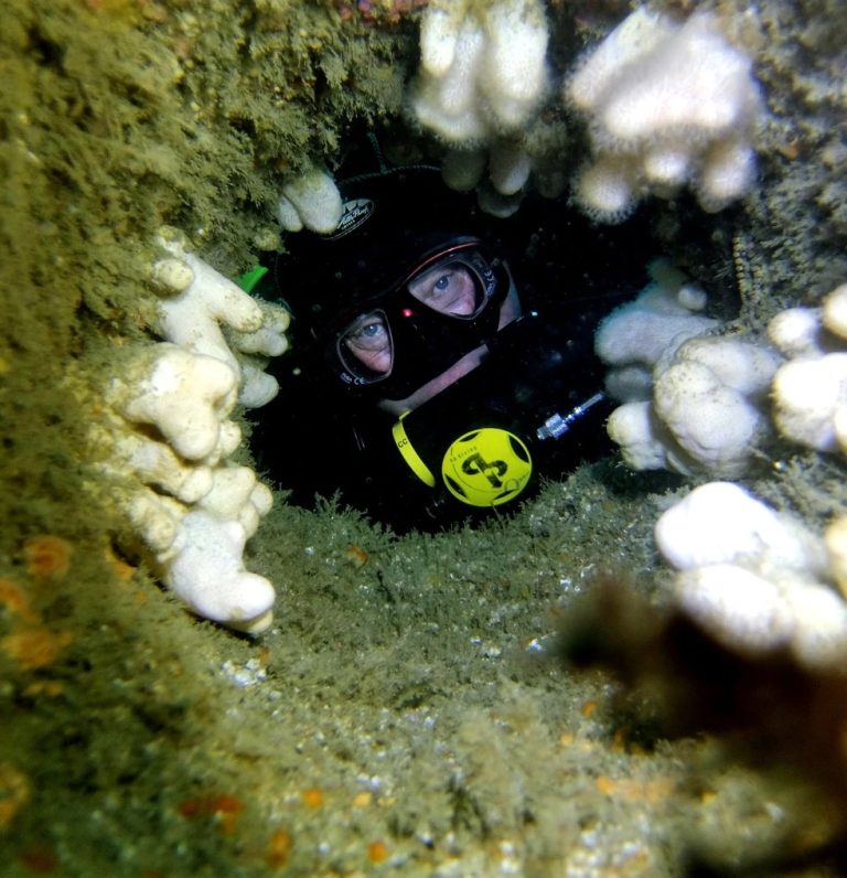 Silent Diving | AP Diving Rebreathers and CCR Equipment