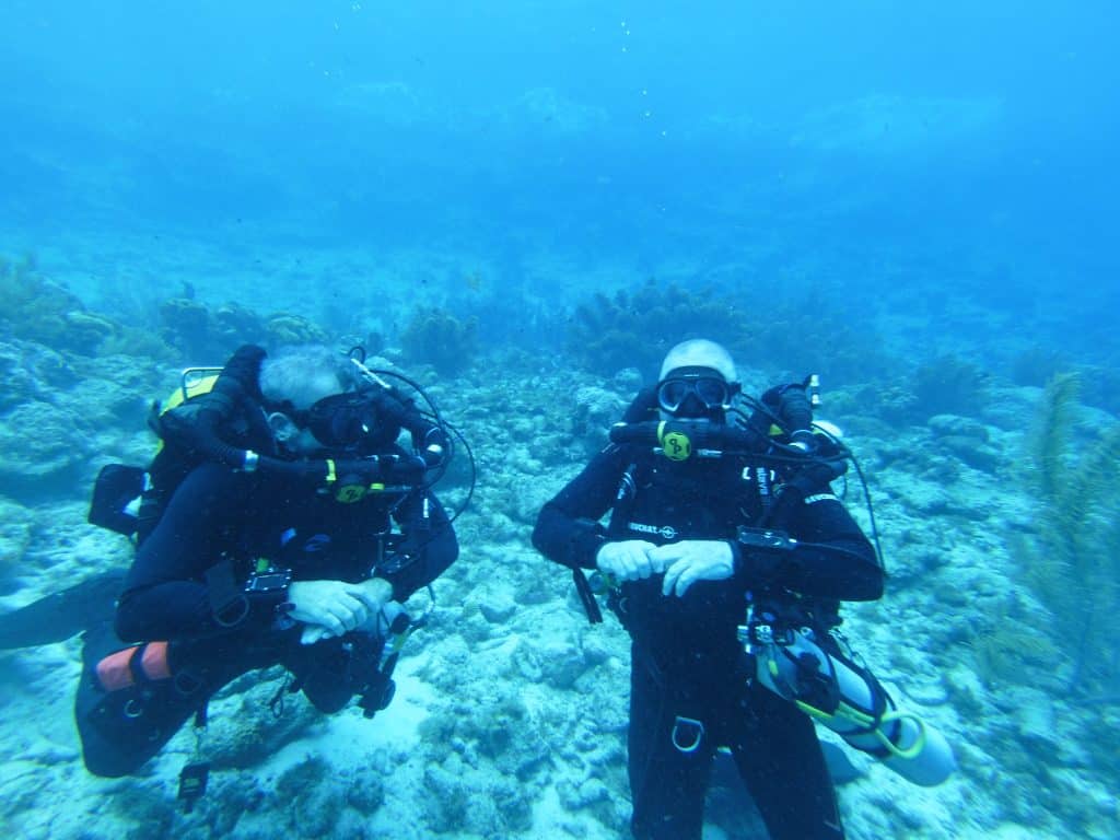 Silent Diving | AP Diving Rebreathers and CCR Equipment